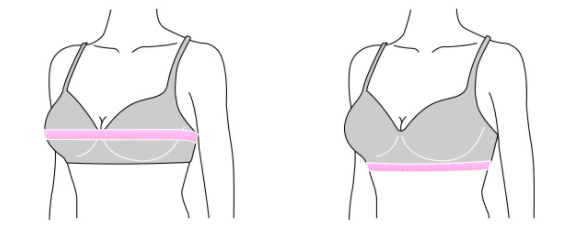 How To Measure Bras? – LilySilk Help Center